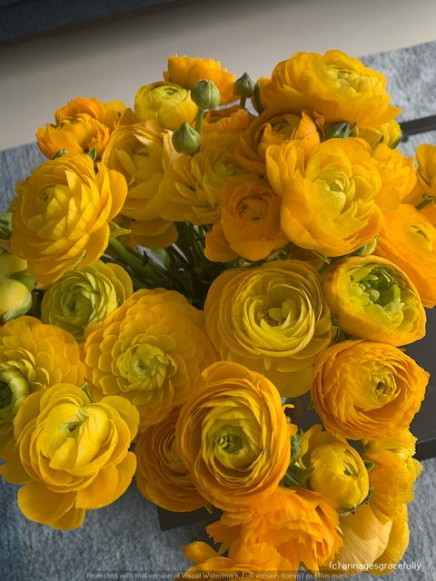 Weekoverzicht | Ann Ages Gracefully